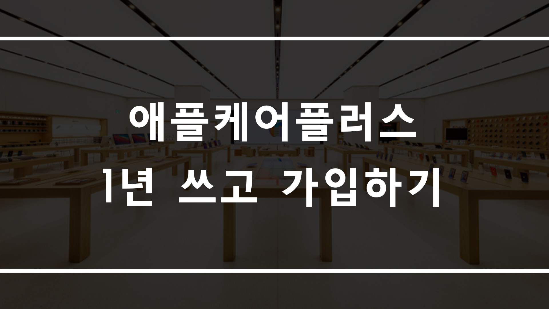 1년 된 중고 아이패드 프로 애플케어플러스 가입 성공 후기 60일 이내 아님 주의 오늘의 보부상